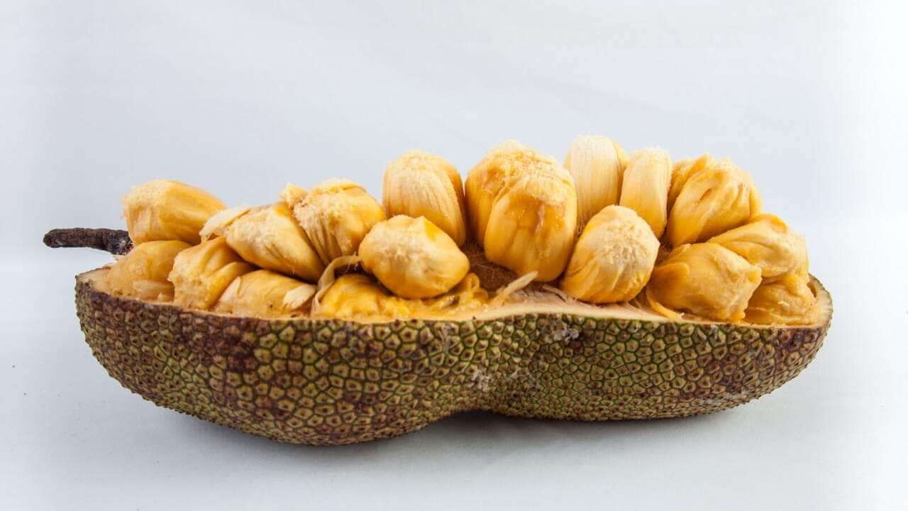Receita de doce de jaca cremosa